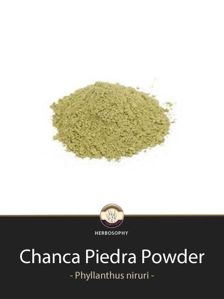 Chanca Piedra – Well Belly Health