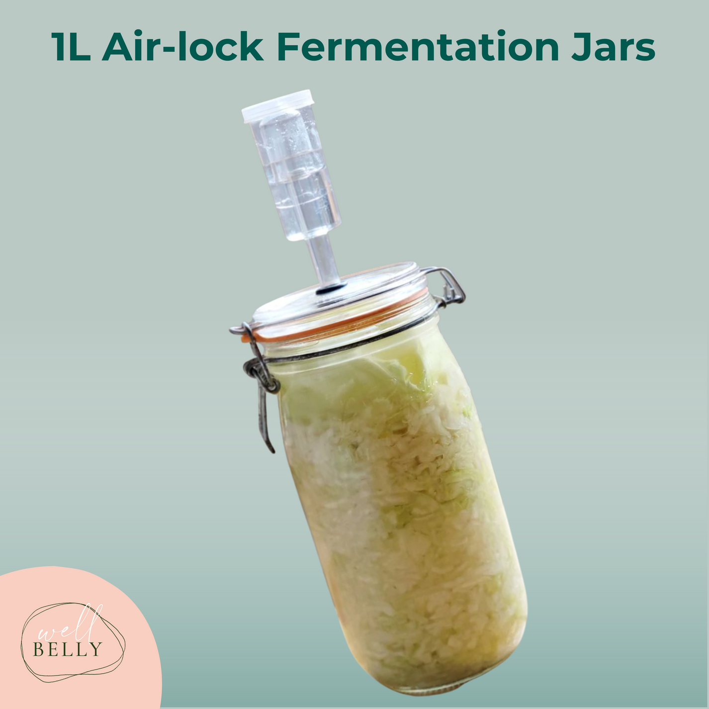 Air-lock Fermentation jars – Well Belly Health